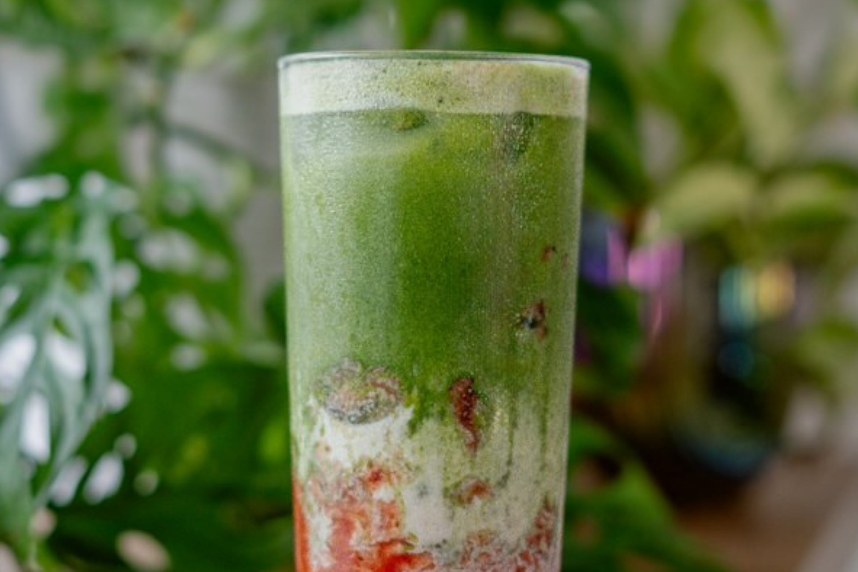 Serena Café & Cocina - Bayamón, Puerto Rico – Shōga Neko Matcha